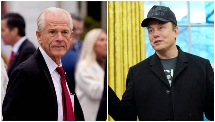 'PhD in Econ from Harvard is bad': Elon Musk's swipe at Trump tariff ...