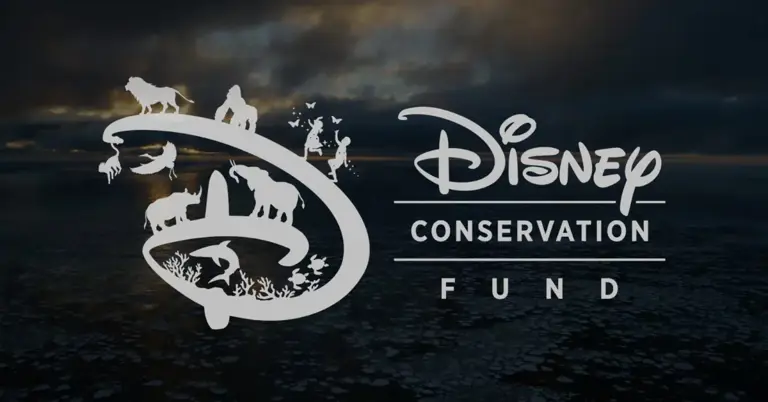 Disney Conservation Fund: An Overview and the Latest Updates
