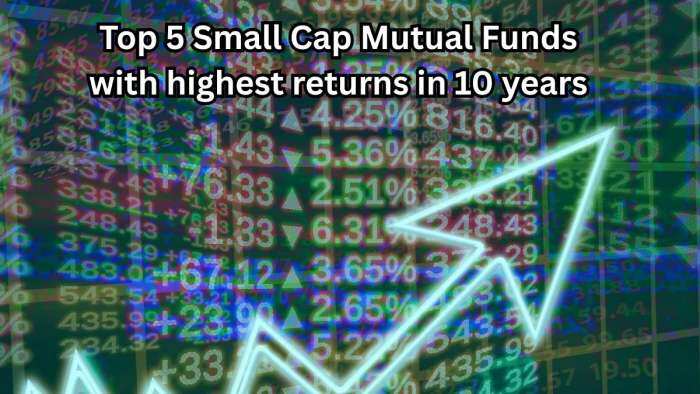 Top 5 Small Cap Mutual Funds with highest returns in 10 years: Rs ...