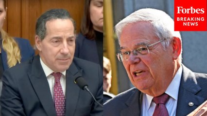 Jamie Raskin Points To Indictment Of Dems By Biden-Era FBI In Response ...