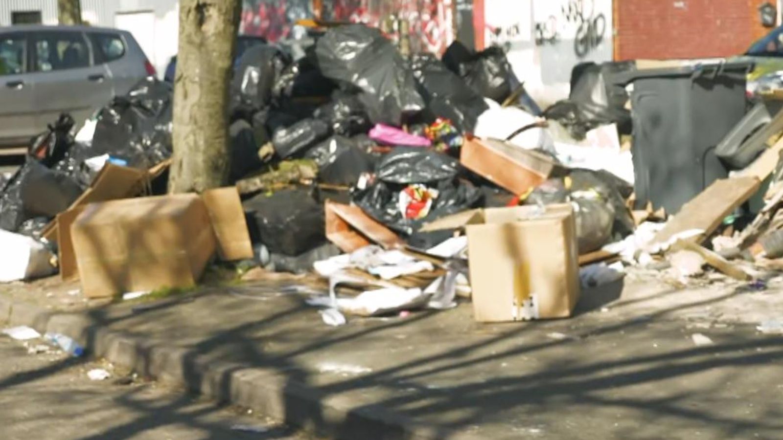 Birmingham rubbish mounds 'a dream for rats'