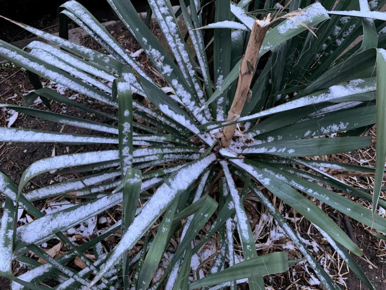 Wintry Mix Bringing Snow, Wind Gusts, Raw Chill To Parts Of RI