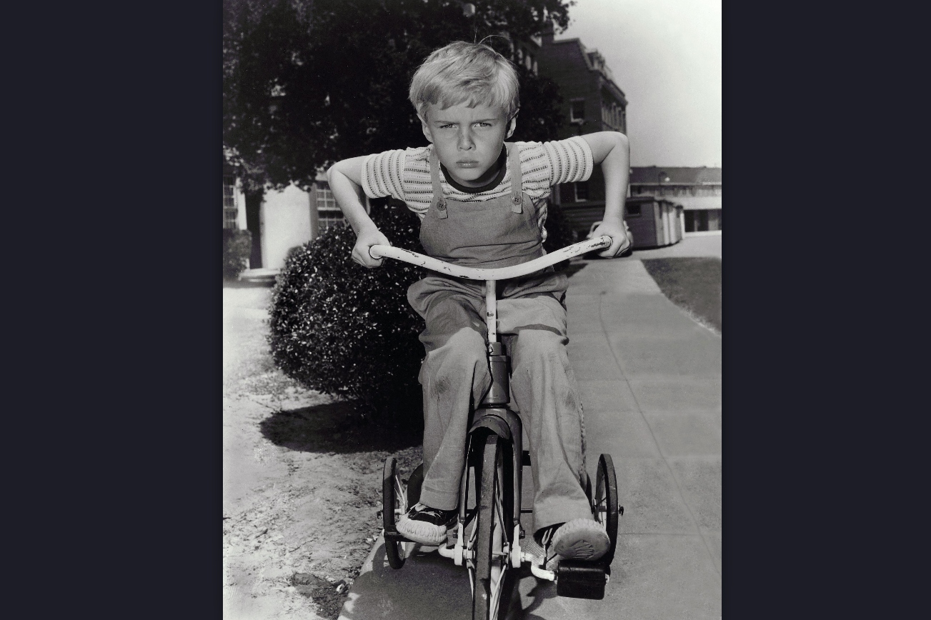 ‘Dennis the Menace' Star Jay North Dead at 73, Cause of Death Revealed