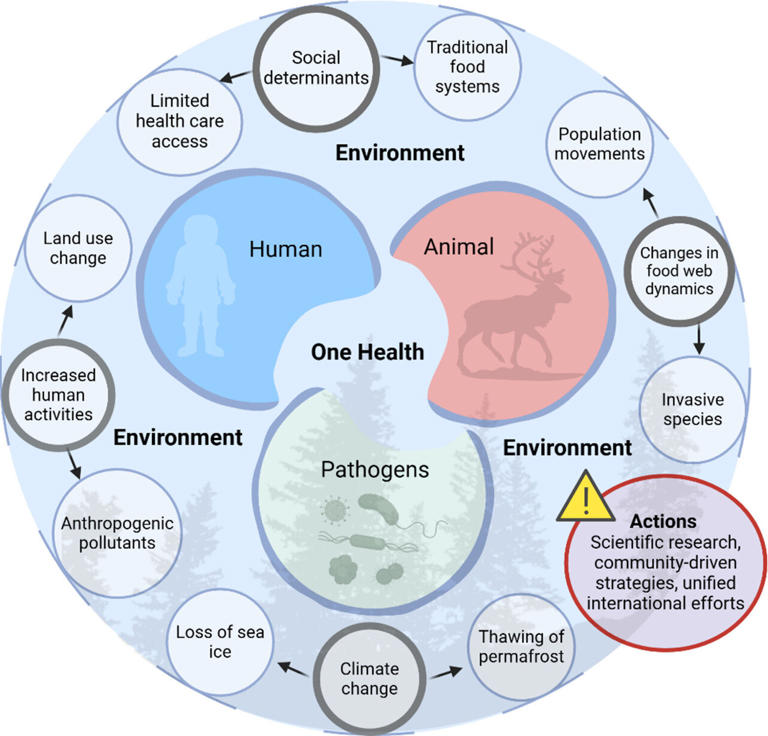 Scientists blame climate change for spread of infectious diseases and ...
