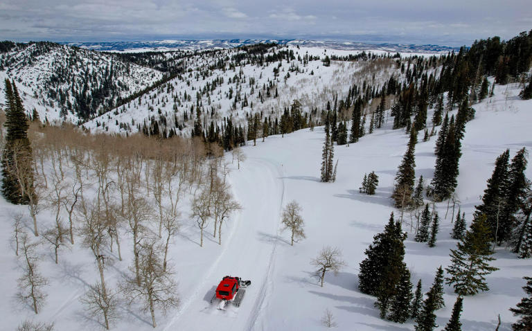 Reed Hastings’ Powder Mountain to add another private lift after Cache ...
