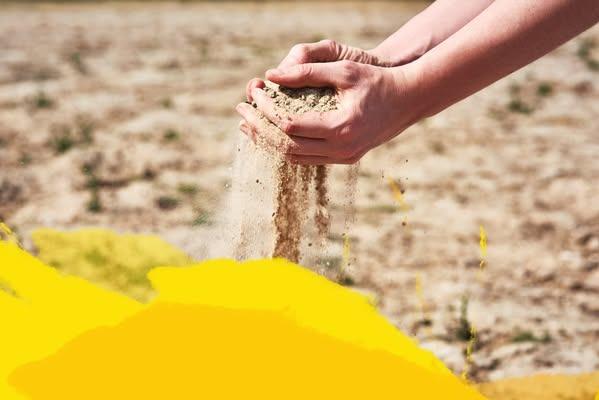 Brown’s Bay: dangers of ‘soft or sinking sand’ at Islandmagee beach ...