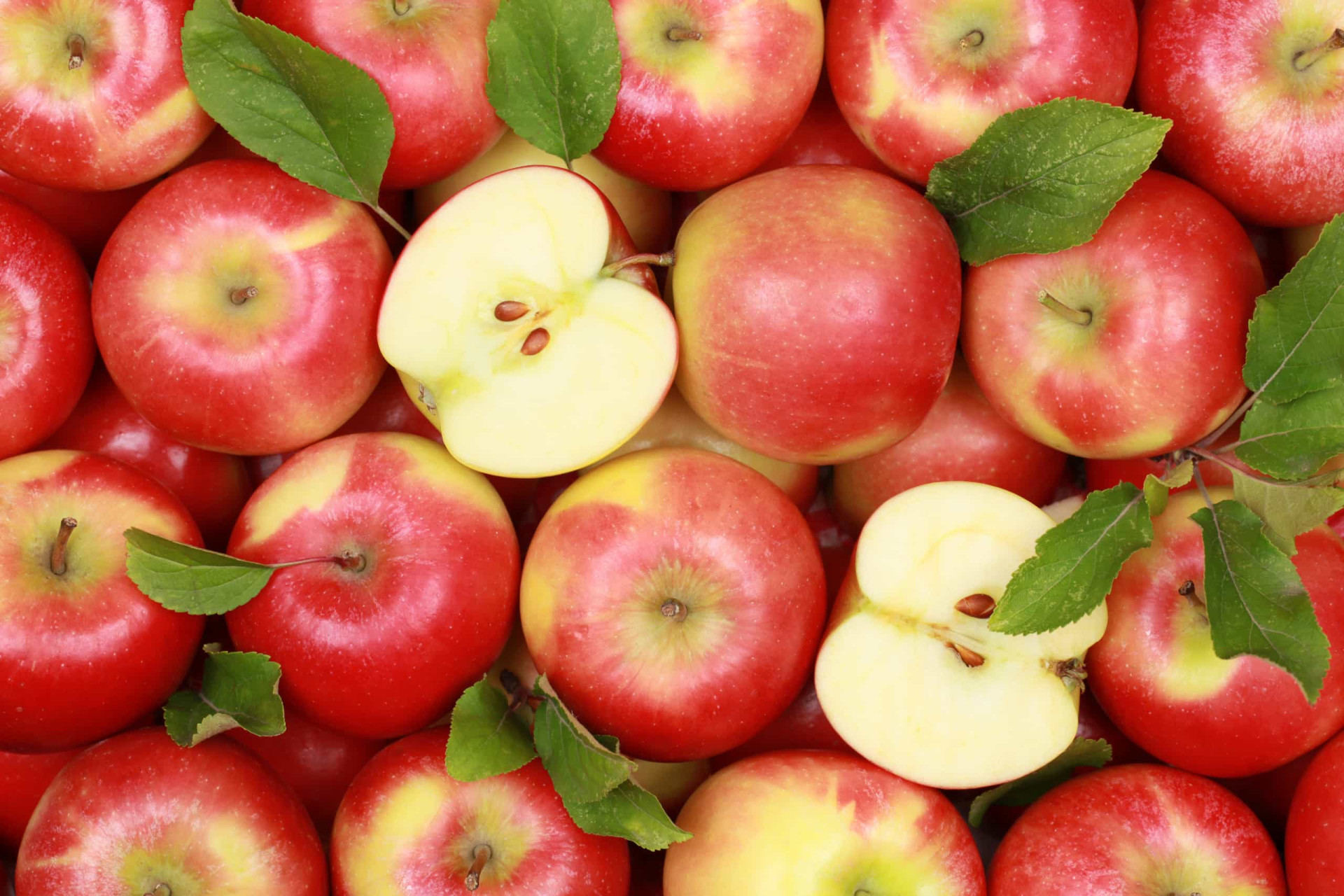Foods that contain almost no calories