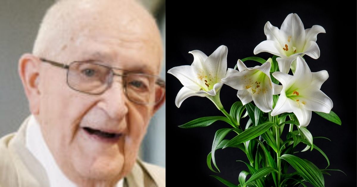 James Shea, 92, esteemed geology professor and Army veteran