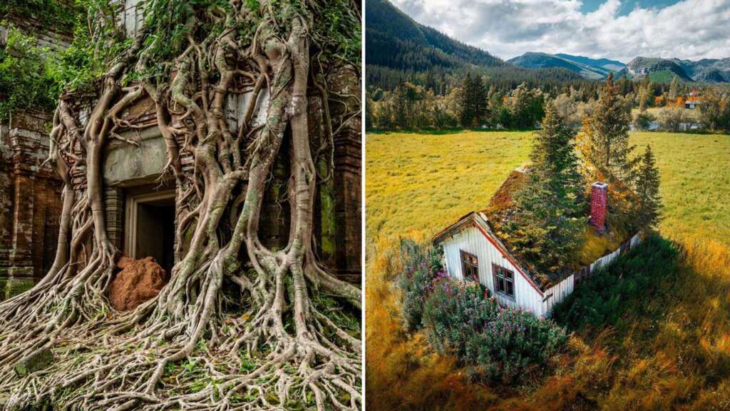 25 Photos of Nature Reclaiming Abandoned Places