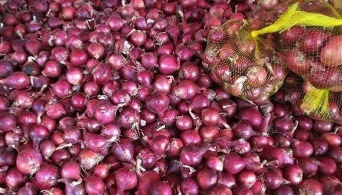 Onion stocks shoot up as harvest peaks