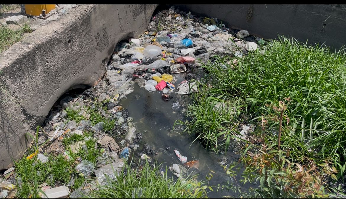 Group unveils campaign to tackle Lagos environmental decay