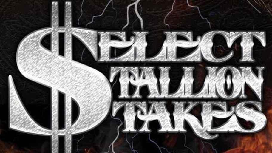 Motley Crue Rocker Owned Barrel Horse Runs Fastest Time of Select ...