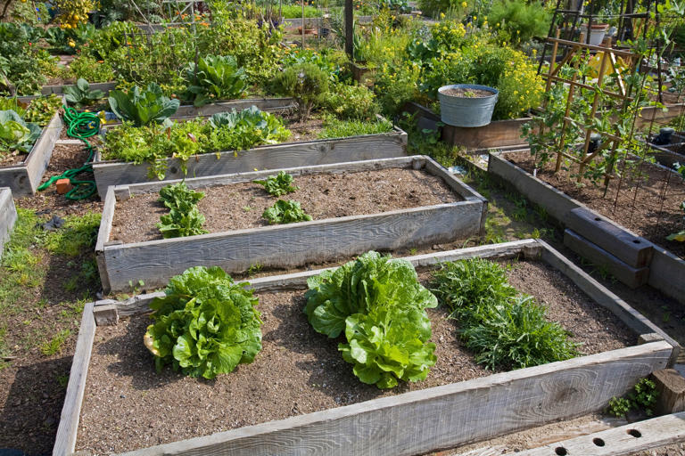 How to Build a DIY Raised Garden Bed You Can Use for Years