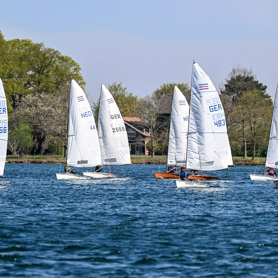 Segelregatta auf dem Königshüttesee