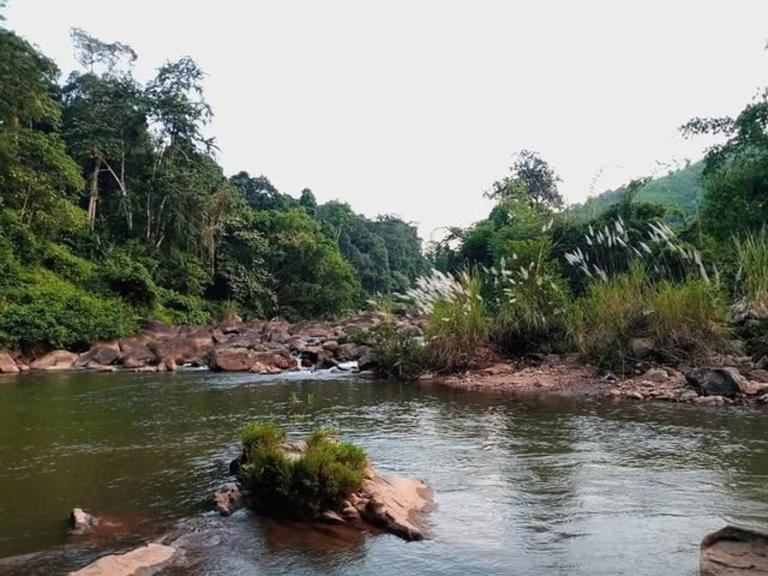 5 Best Hill Stations Near Guwahati For A Cool Summer Retreat