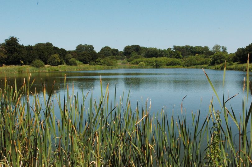 Double stabbing at fishing pool leaves two teens with injuries