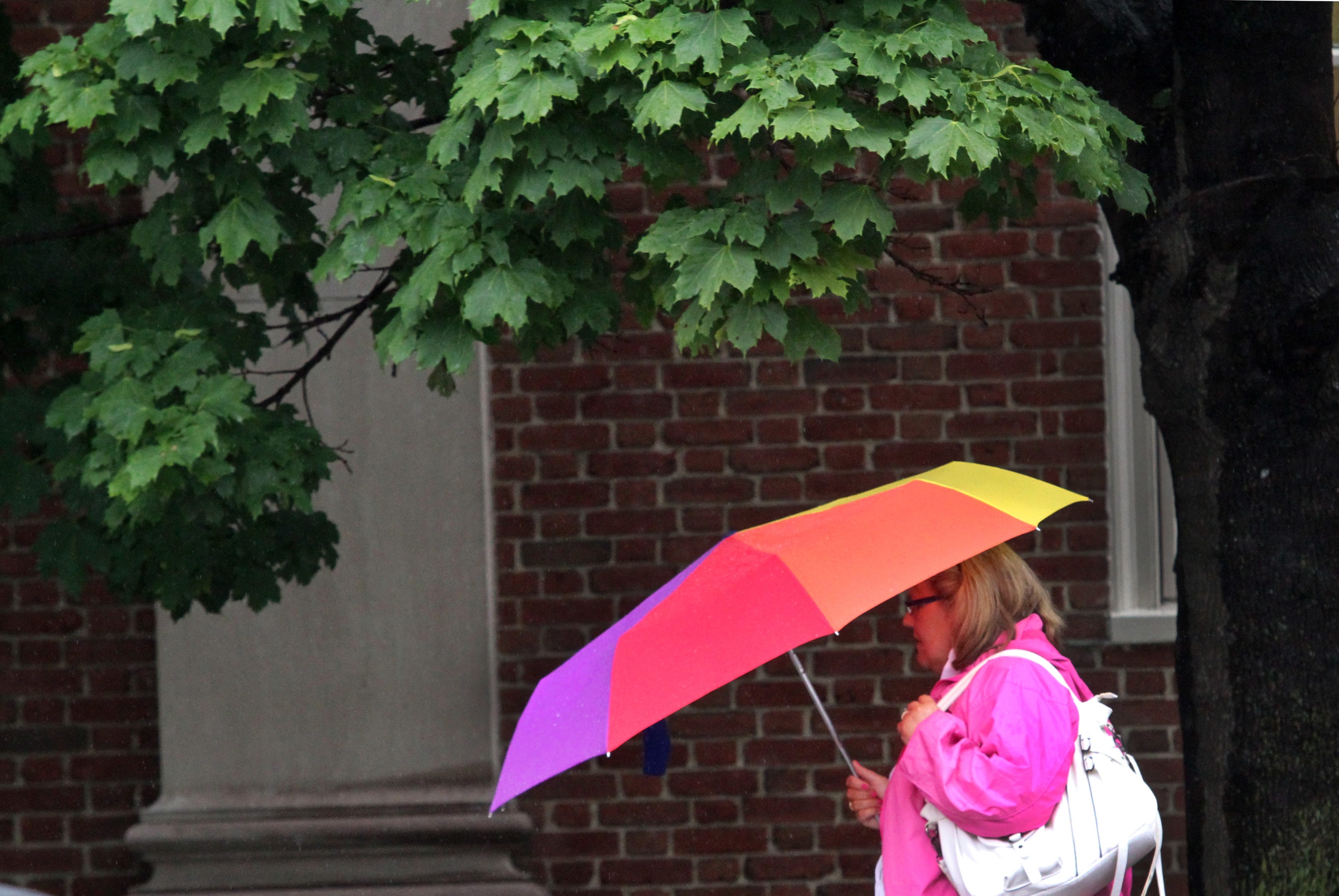 RI Weather: Here's what to expect this week