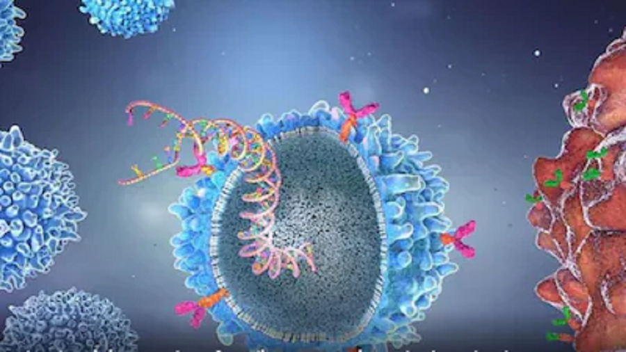 Big Relief for Cancer Patients: Rajasthan Offers Free Cancer Treatment ...