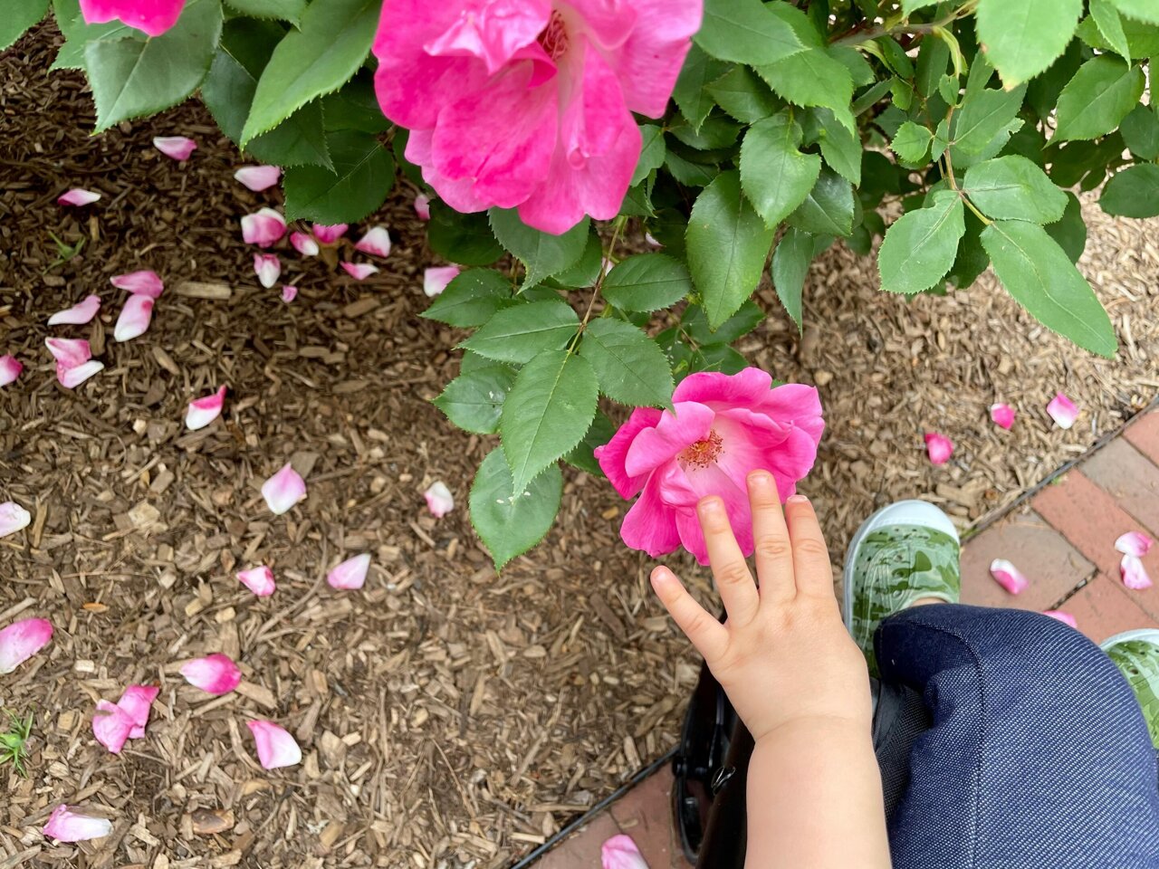 Here's how to create a more nature-literate society