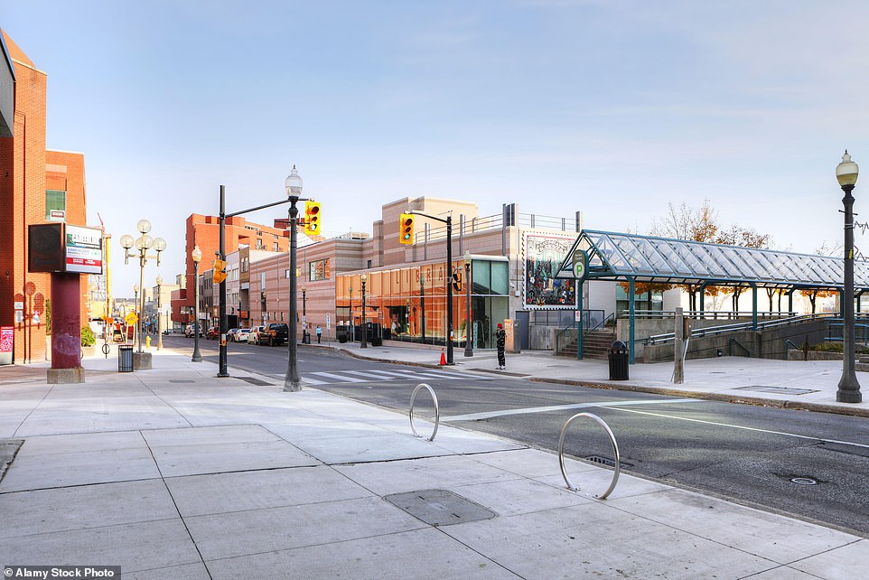 Dogs with ESP? What Science Says About Psychic Pets