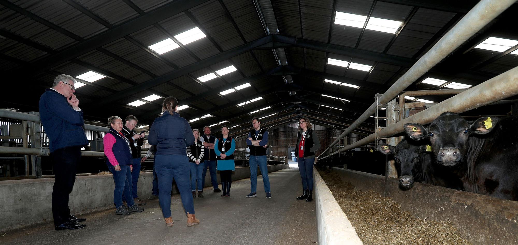 MPs visit a progressive Midlands livestock farm as part of the NFU Food ...