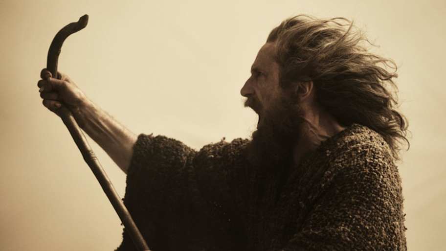 Fandom Madness 2025: Vote for your favorite wizard in our championship ...