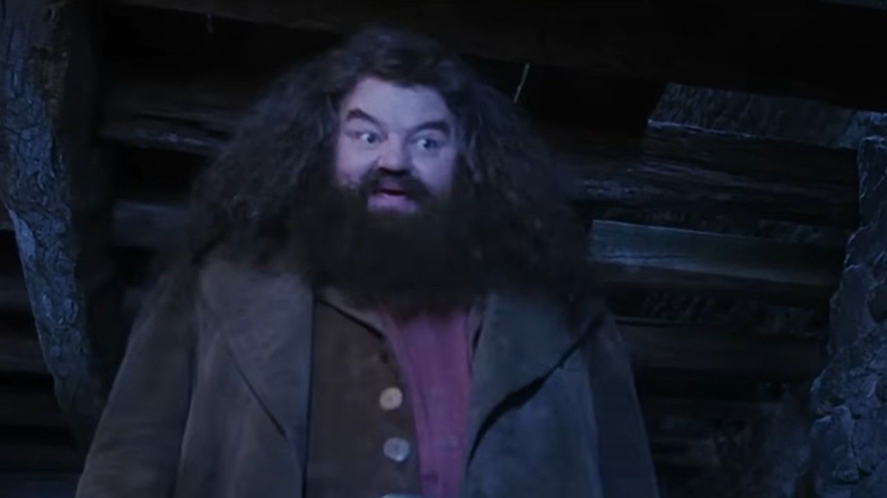After The Harry Potter Show Officially Casts Hogwarts Staff, I Have One ...