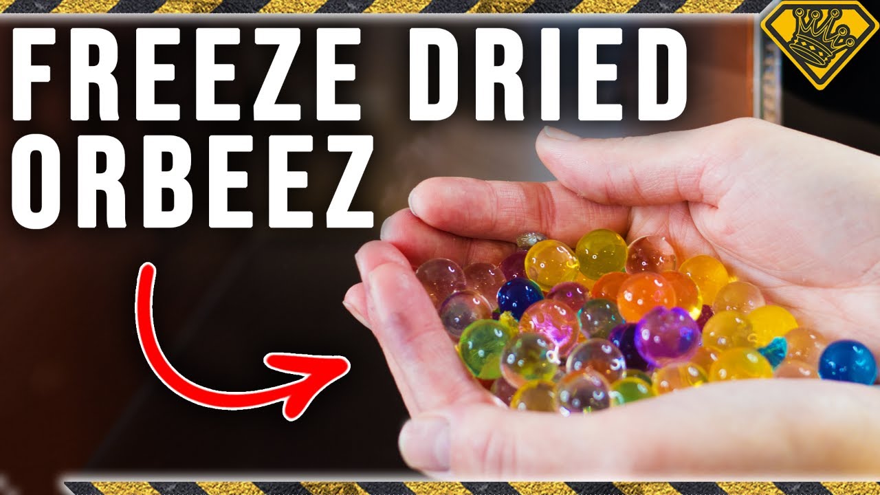Discover What Happens to Orbeez in a Freeze Dryer