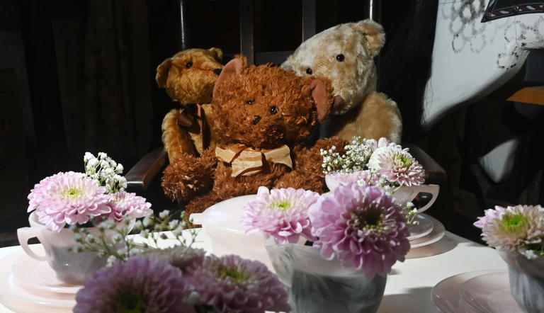 11 lovely photos of Lytham Hall Flower Festival 2025 as visitors flock ...