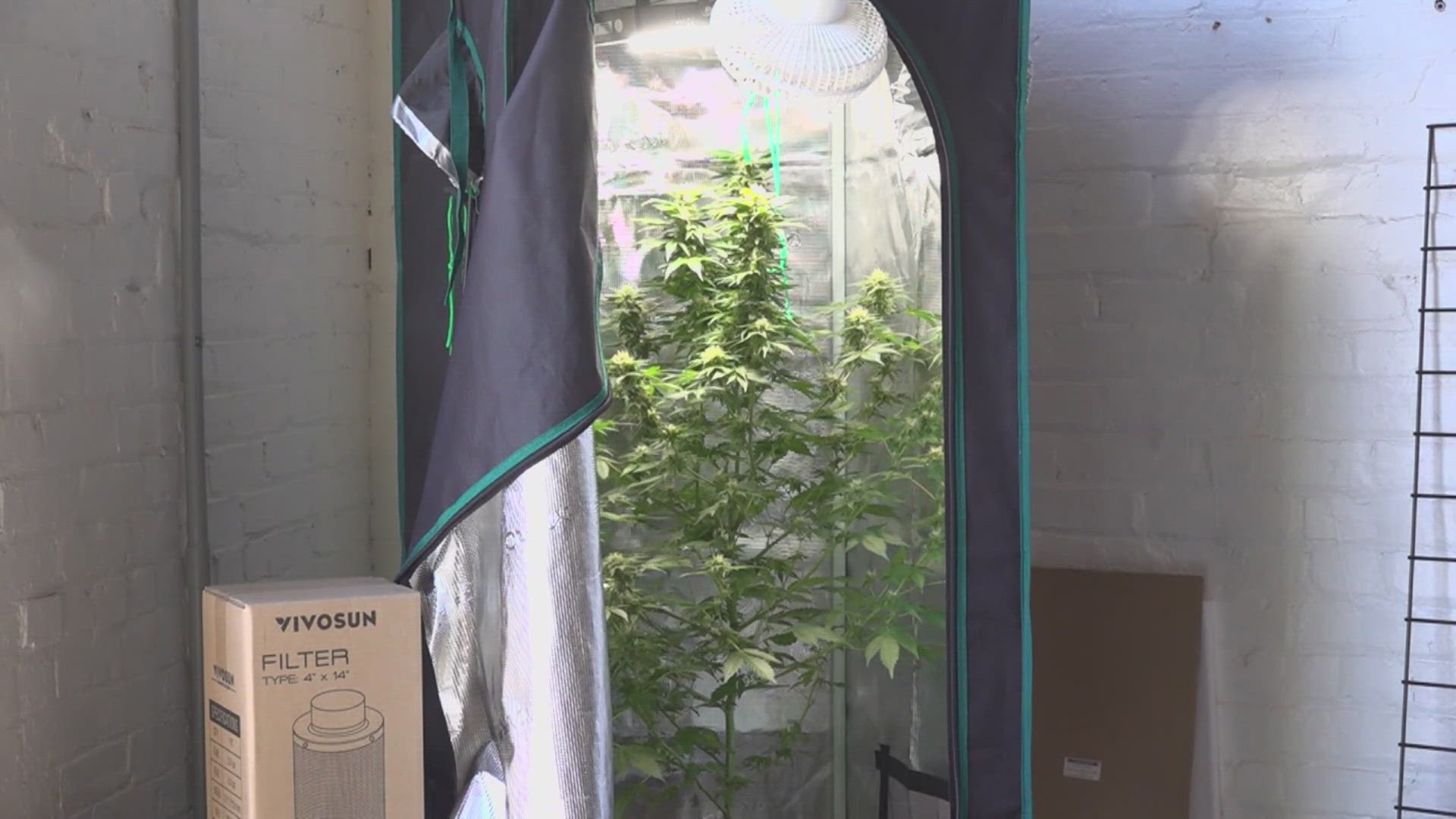 Texas lawmakers considering THC ban: latest updates