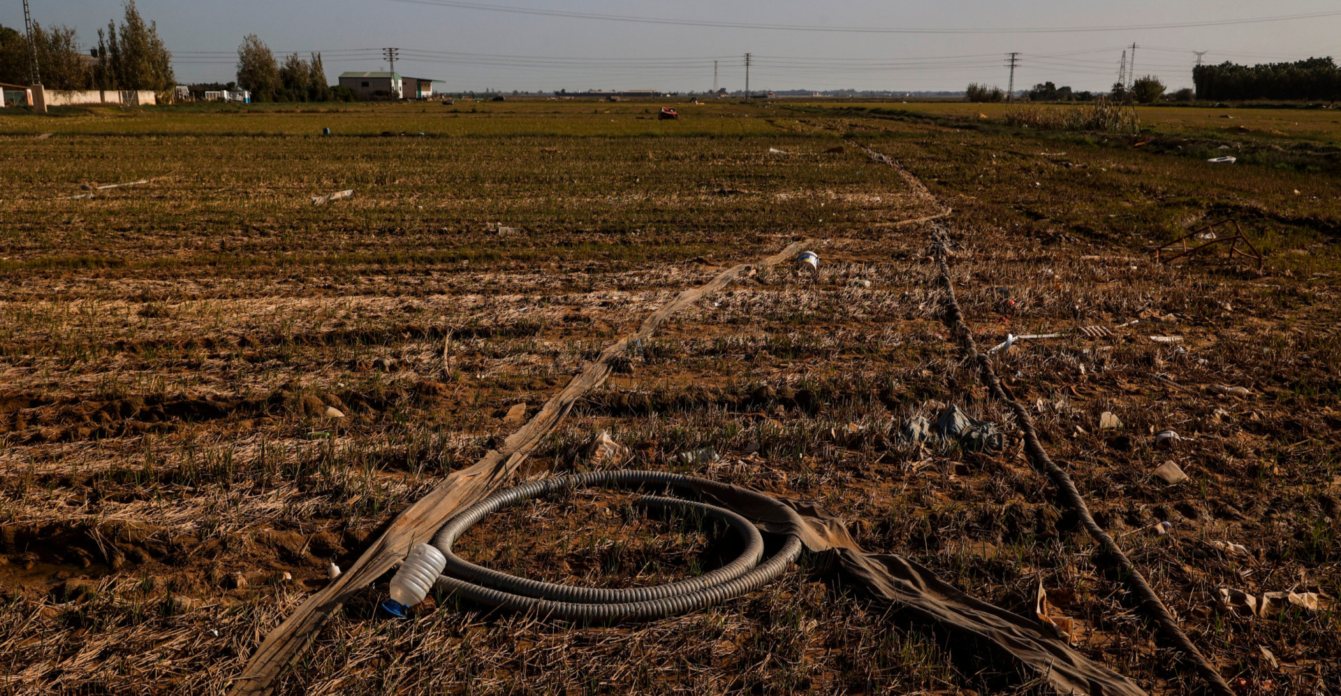 Can Earth survive without humans?