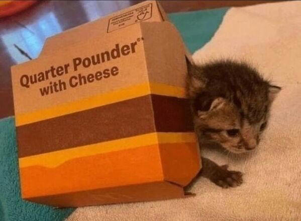 45 Funny Cursed Food Memes That Make You Want To Fast Until Further Notice