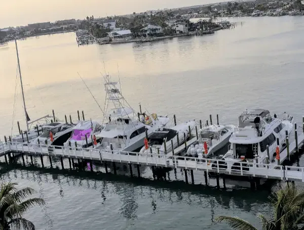 University Of Florida Study: Boats Play A Key Role In Global Termite Spread