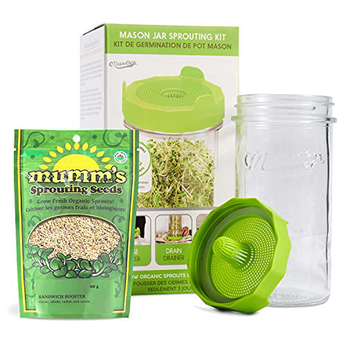 Best Sprouting Kits