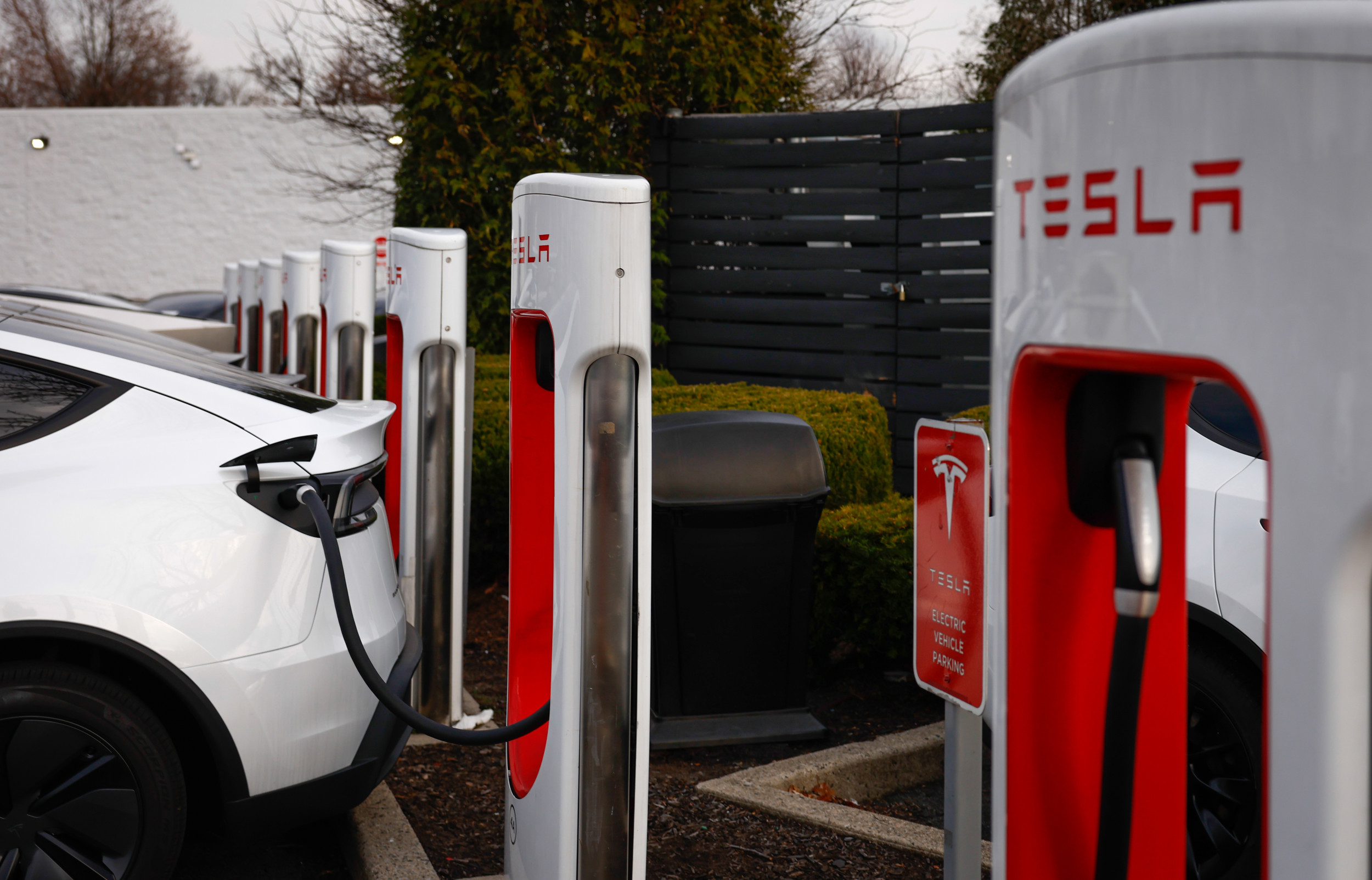 Tesla Stock Price Hits Low Trump Ally Said Wouldn't Happen