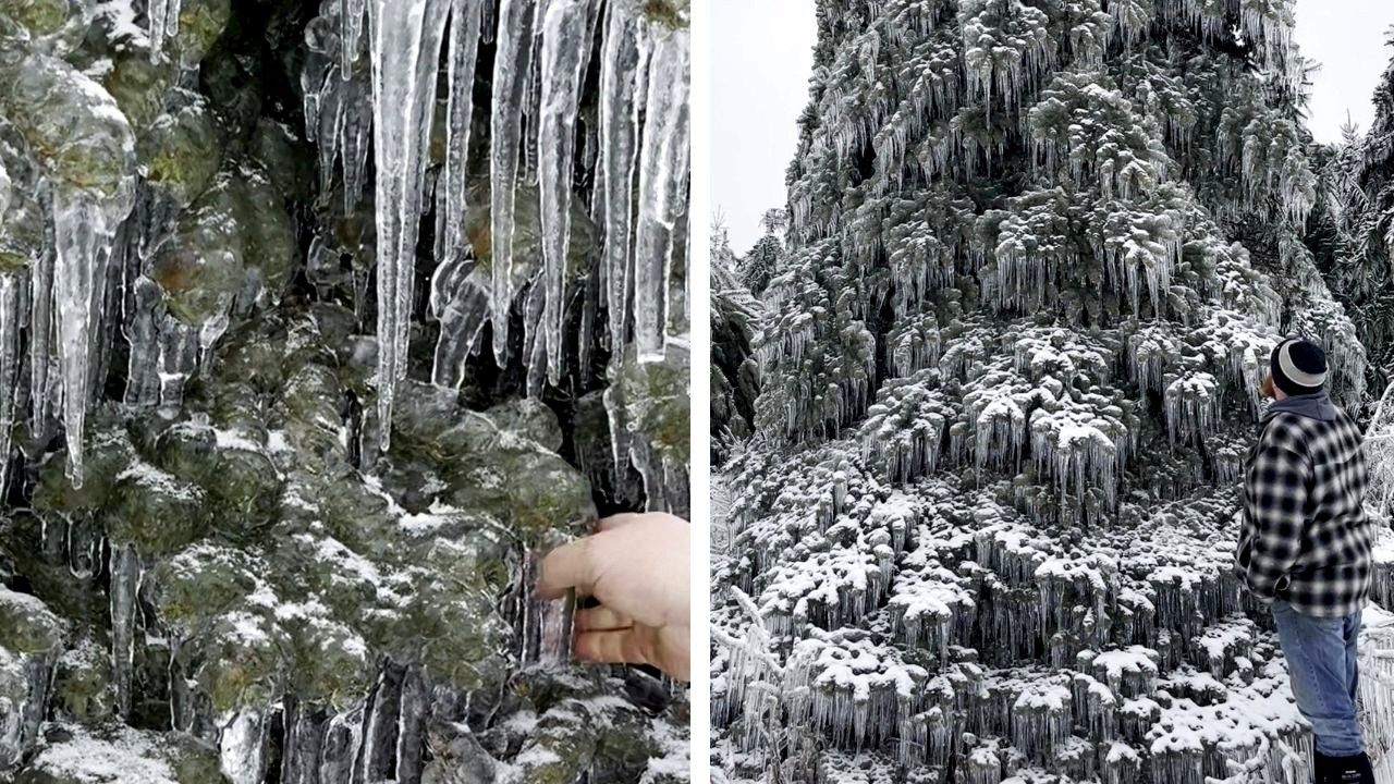 Major ice storm turns Michigan into a surreal frozen landscape