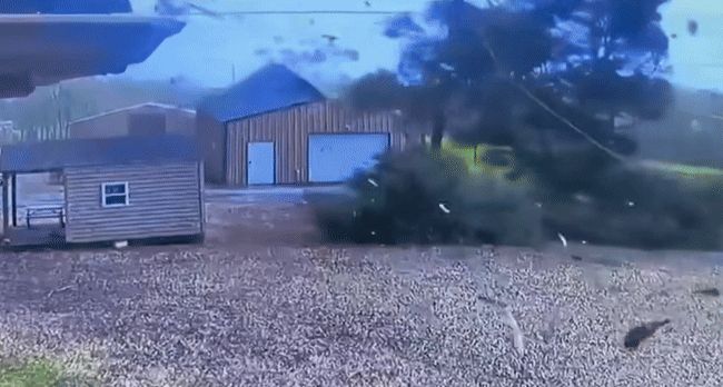 Powerful Wind Tears Roof From Tennessee Shed