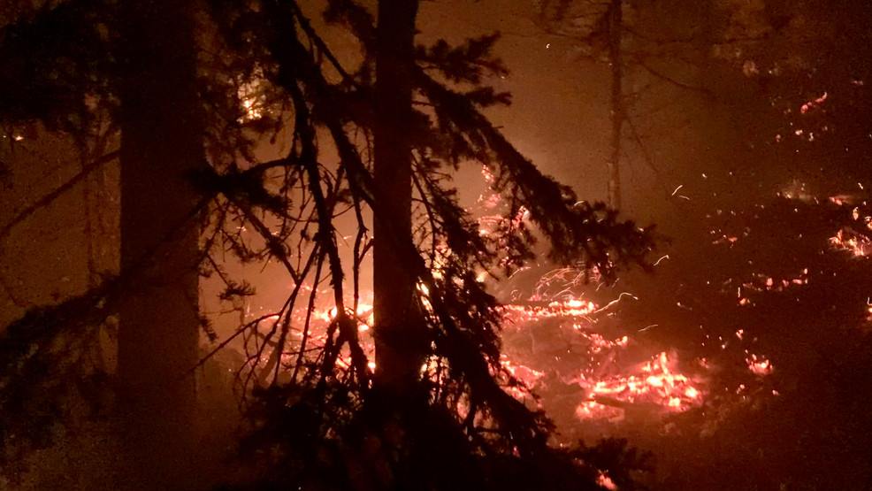 Wildfire risk high in northern Michigan as 'spring dip' conditions persist