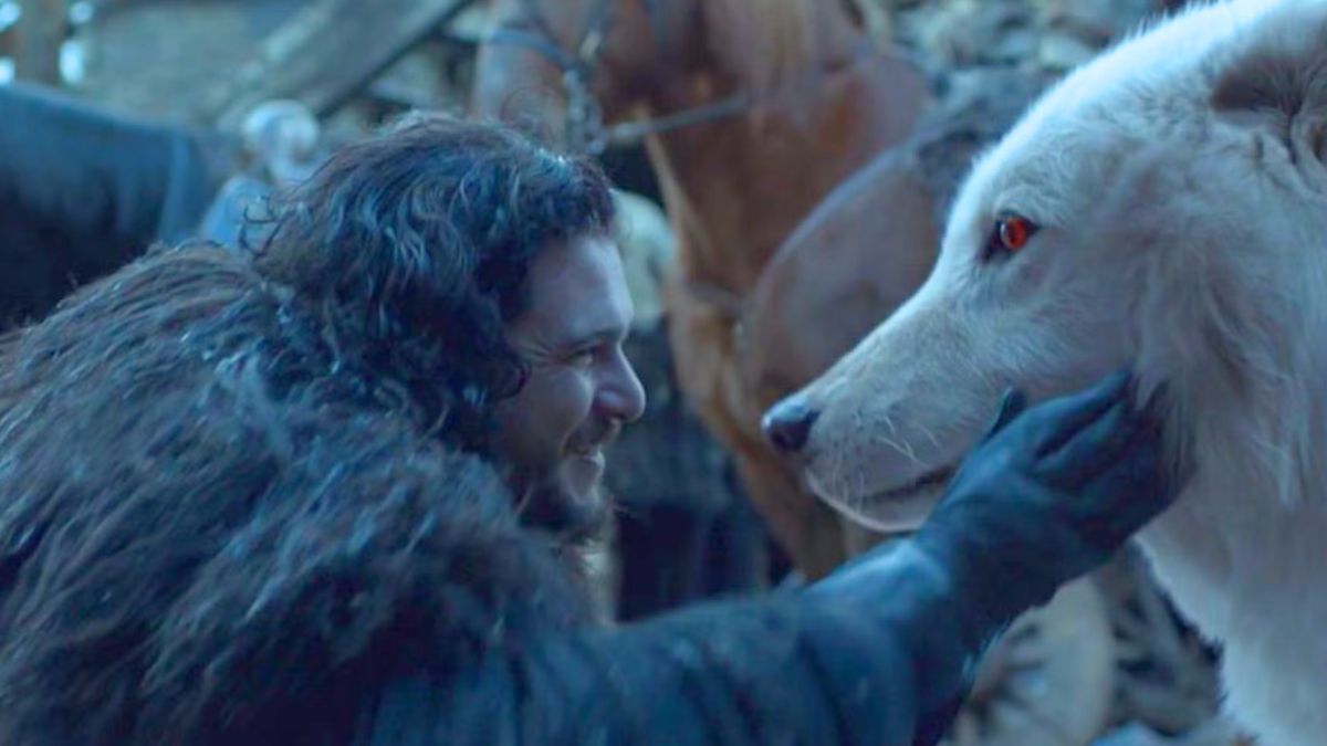 ‘The North remembers’: The dire wolves of House Stark have returned ...