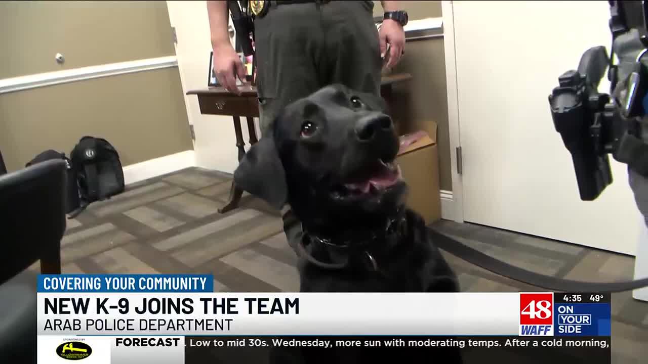 Arab Police Department welcomes new K-9 officer