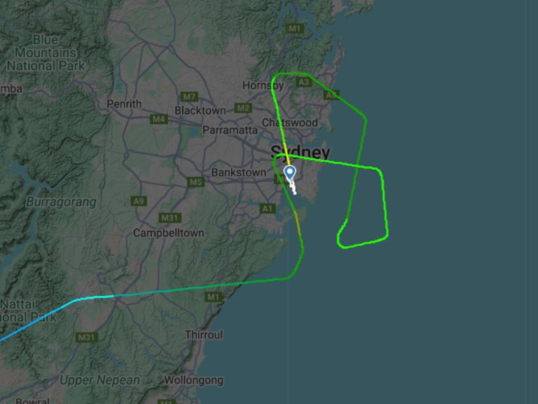 ‘Mayday, mayday’: Plane’s emergency landing