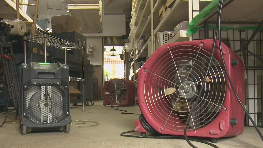 Plymouth, Michigan residents in recovery mode after heavy rainfall ...