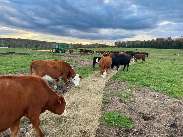 Couple Chooses Farm Life, Embraces Agriculture and Healthy Living