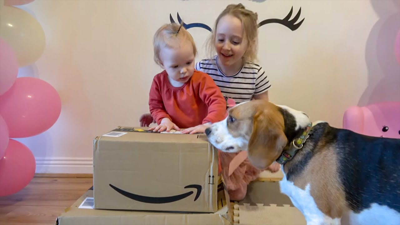 Children and dogs surprised by gifts from fans