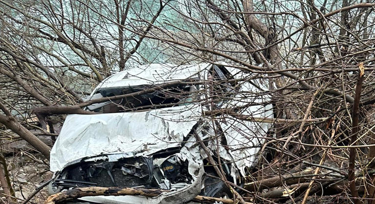 Man lives after driving pickup into Niagara Falls Gorge: Police