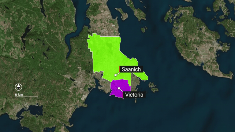 Should Victoria and Saanich amalgamate? Citizens’ assembly says ‘yes’