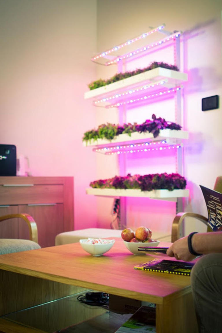 We Asked Experts How to Choose the Right Grow Lights