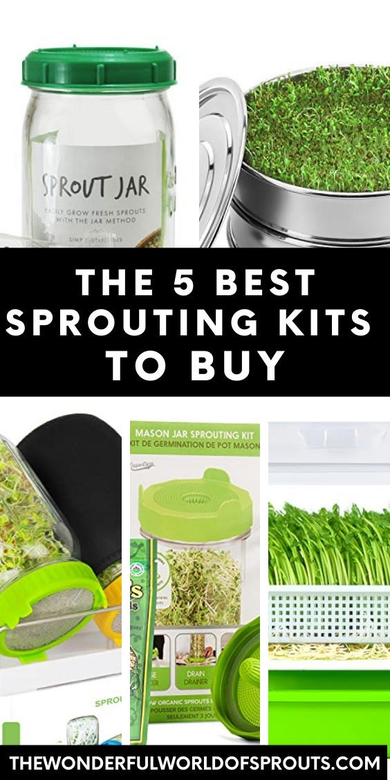 Best Sprouting Kits