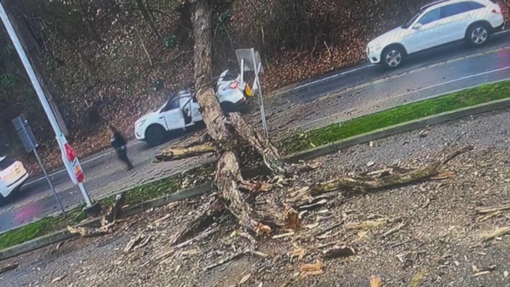 Video shows tree smashing on car in Chester County, Pennsylvania