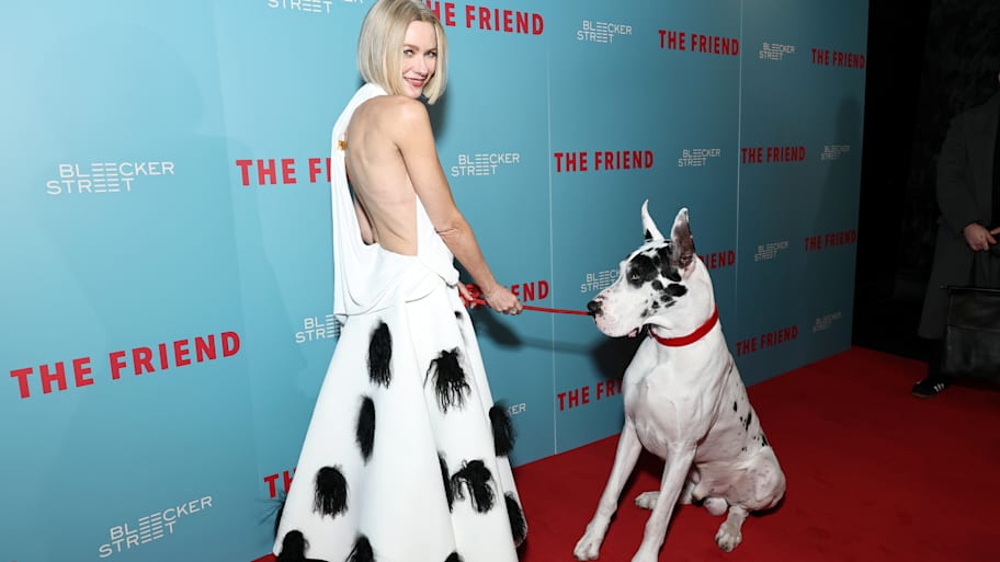 The Friend parents guide: Is this dog movie suitable for the whole family?